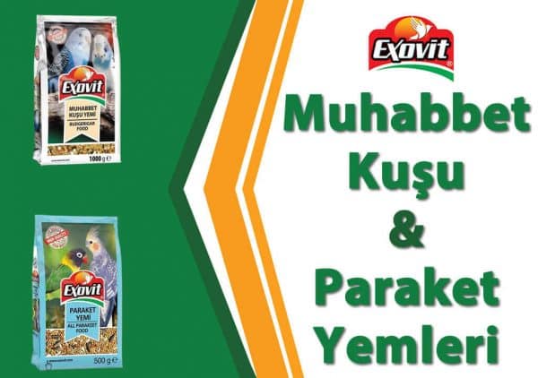 Exovit Budgie and Parakeet Foods