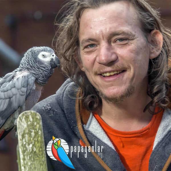 Manejo del loro gris - Educación del Loro Gris
